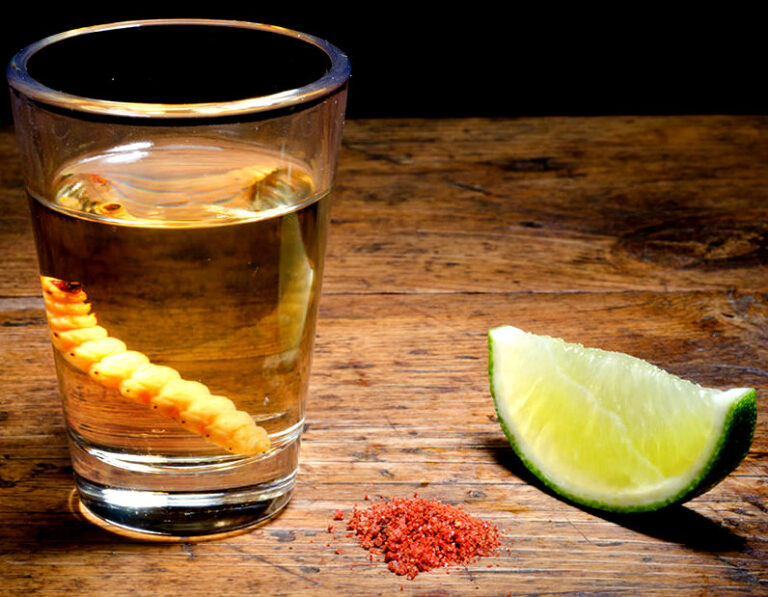 Mezcal con gusano | ¿Qué es y cuál es su origen?