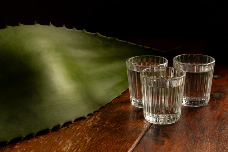 Licor de Agave | ¿Qué es y cómo se debe tomar?