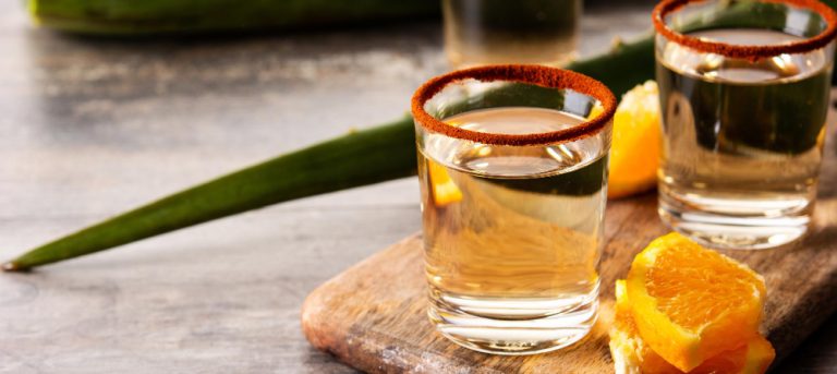 Denominación de Origen del mezcal | La Luna Mezcal